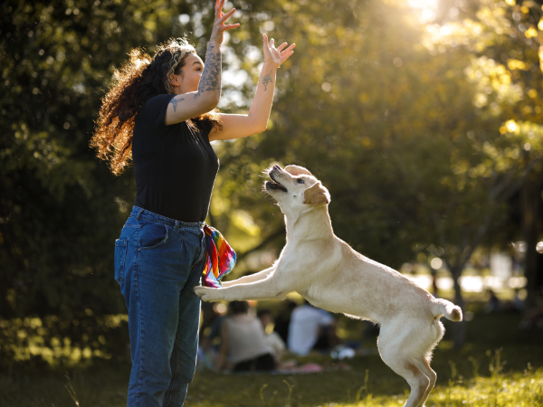 Tips for a jumpy dog — PuppHub