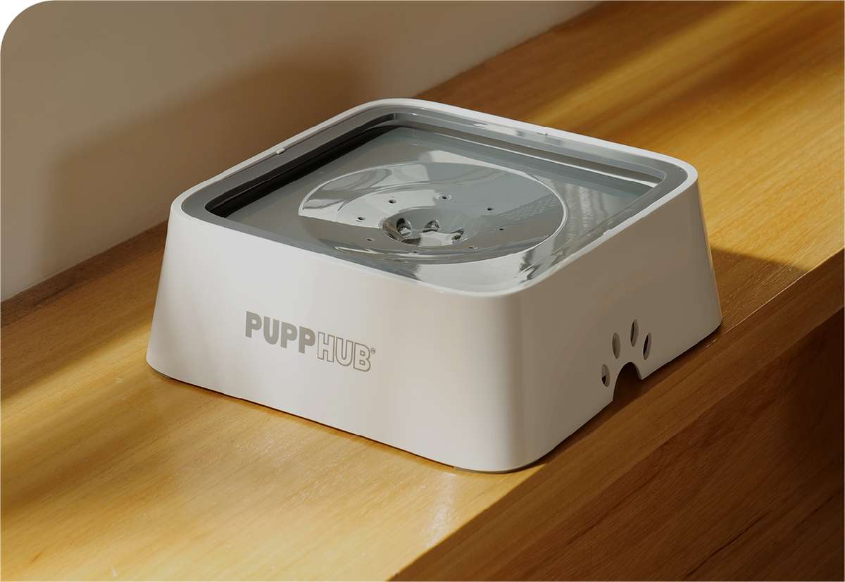 PuppHub™ | Stainless Dog Bowls