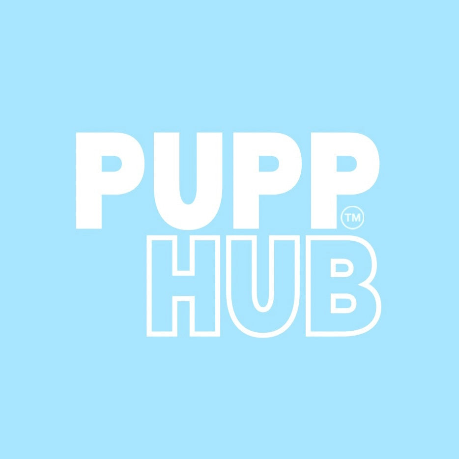 The Benefits of a Dog Bowl with Stand: Why Your Pup Needs One – PuppHub