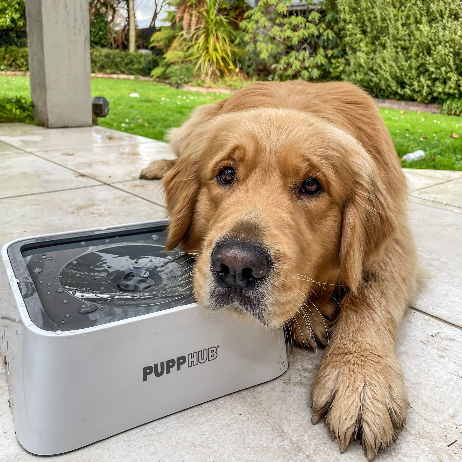 PuppHub™ | The Zero Splash Range