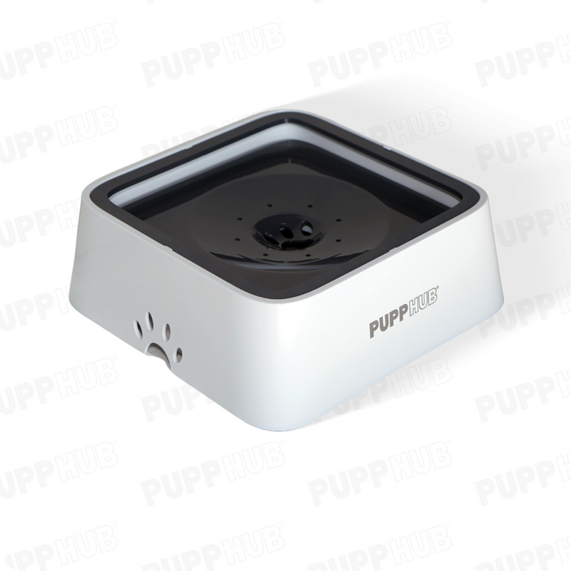 Anti Splash Dog Bowl | No More Wet Floors – PuppHub