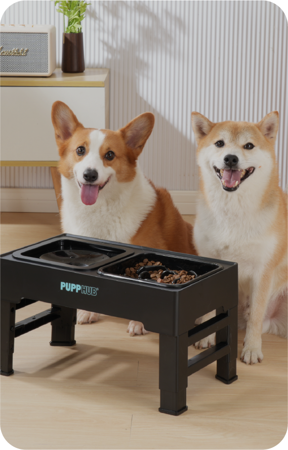 PuppHub™ | The Zero Splash Range