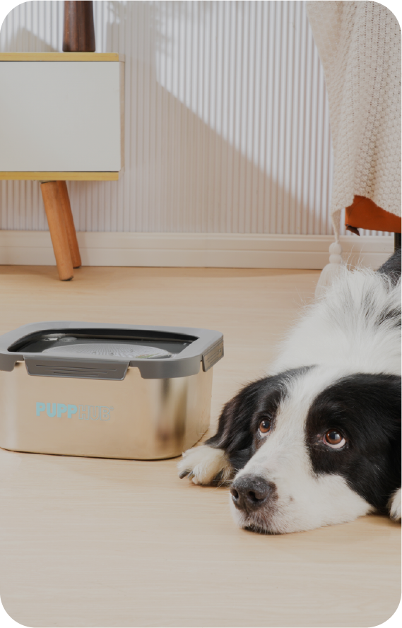 PuppHub™ | The Zero Splash Range