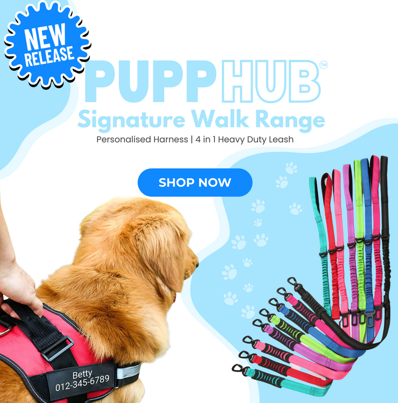 PuppHub™ | The Zero Splash Range