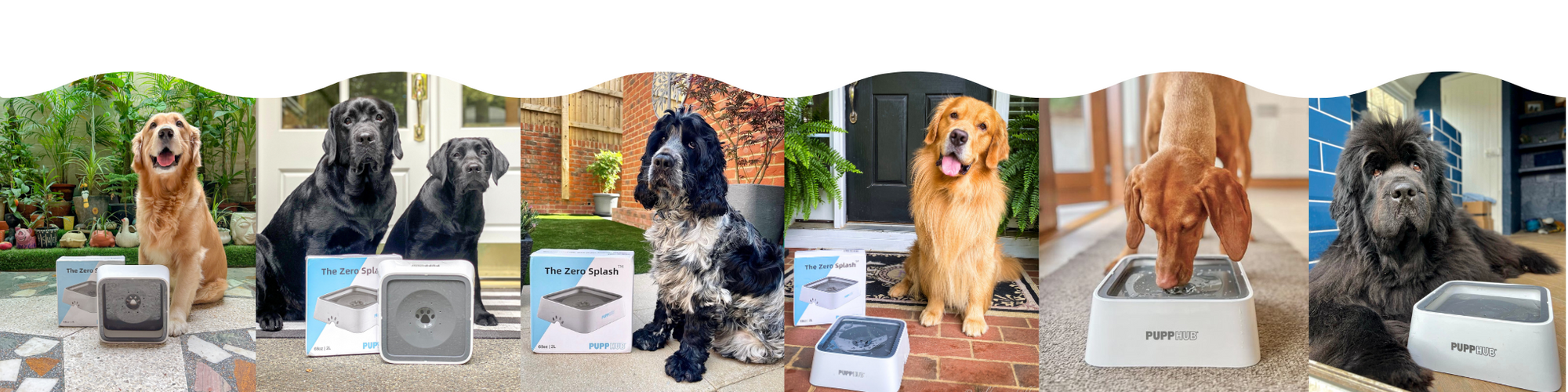 PuppHub™ | The Zero Splash Range