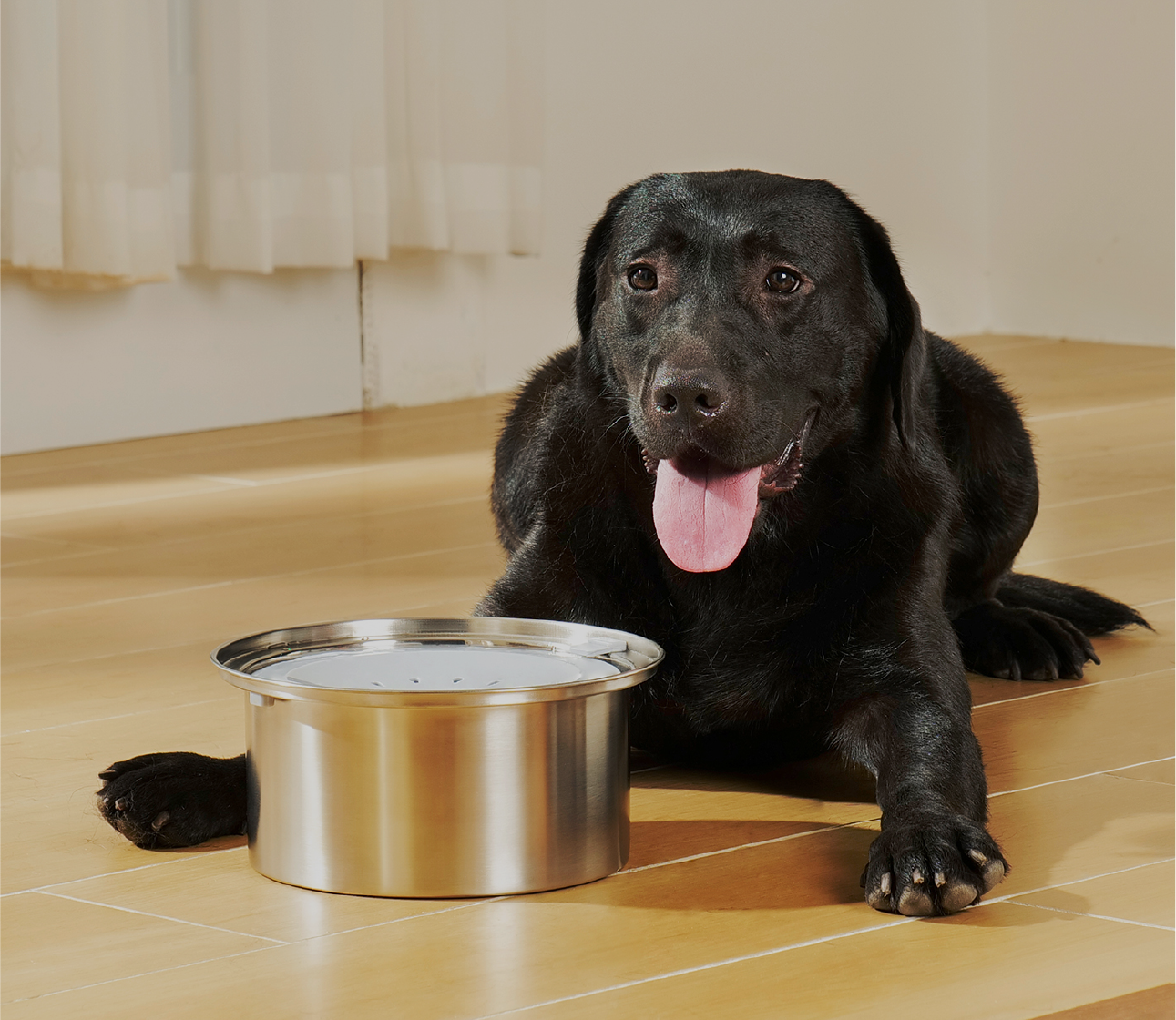 PuppHub™ | The Zero Splash Range