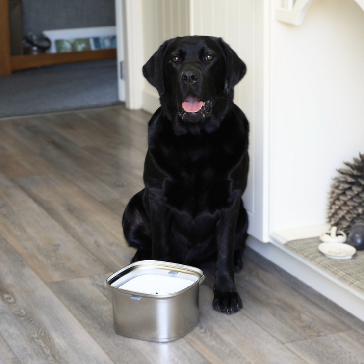 PuppHub™ | The Zero Splash Range